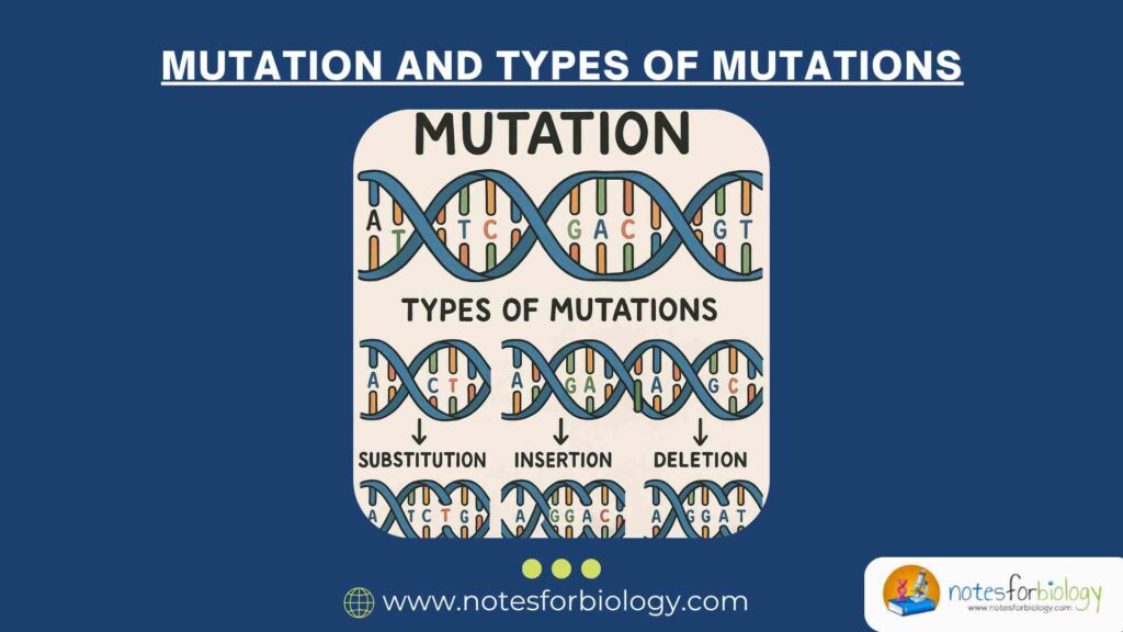 DNA Cloning - Best Biology Notes, Reference, Articles