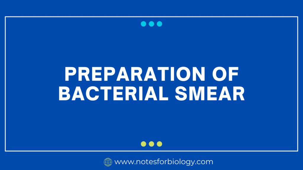 Preparation of bacterial smear - Best Biology Notes,...