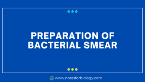 Preparation of bacterial smear - Best Biology Notes,...