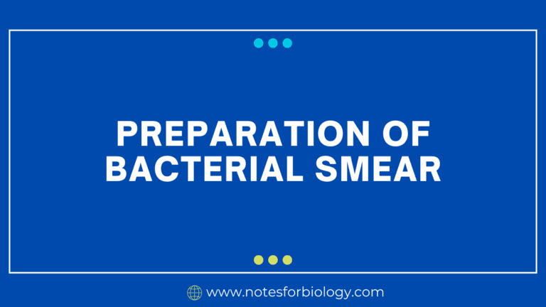 Preparation of bacterial smear - Best Biology Notes,...