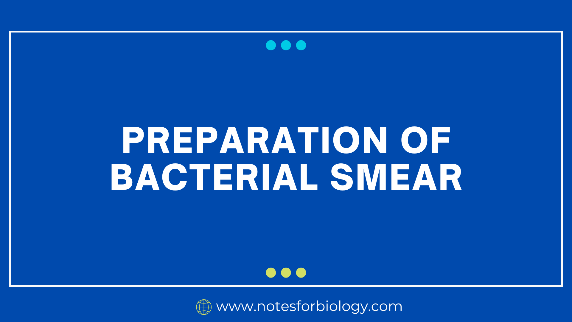 Preparation of bacterial smear - Best Biology Notes,...