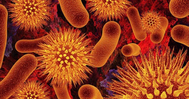 Factors Affecting Bacterial Growth - Best Biology Notes,...