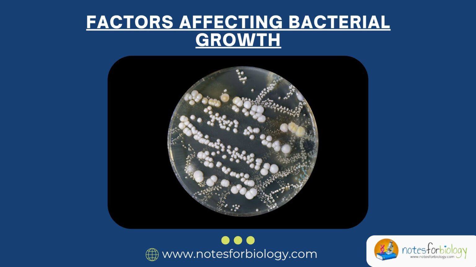Factors Affecting Bacterial Growth - Best Biology Notes,...