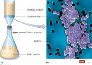 Physical Agents to Control Microorganisms - Best Biology...