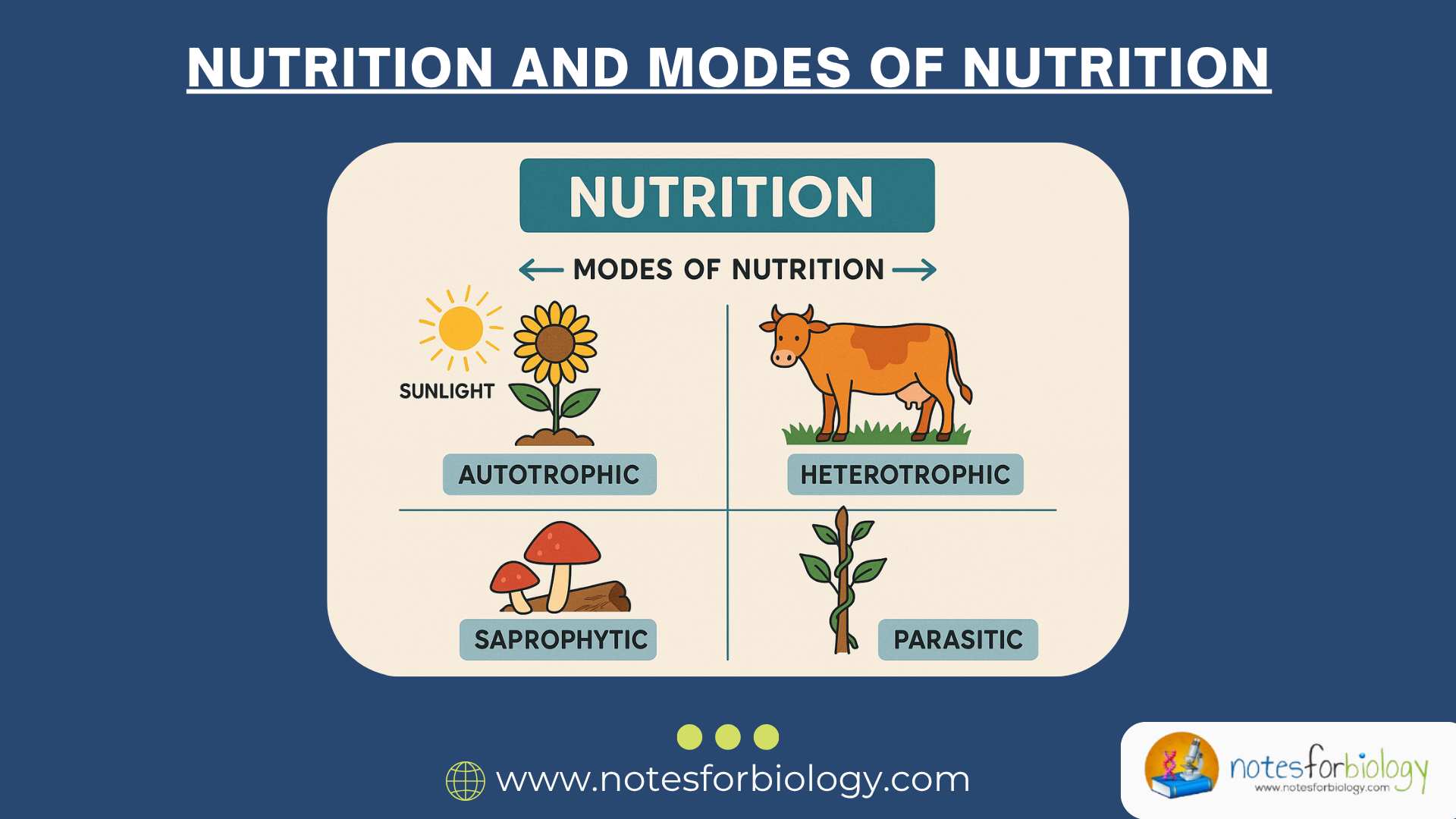 Nutrition and Mode of Nutrition - Best Biology Notes