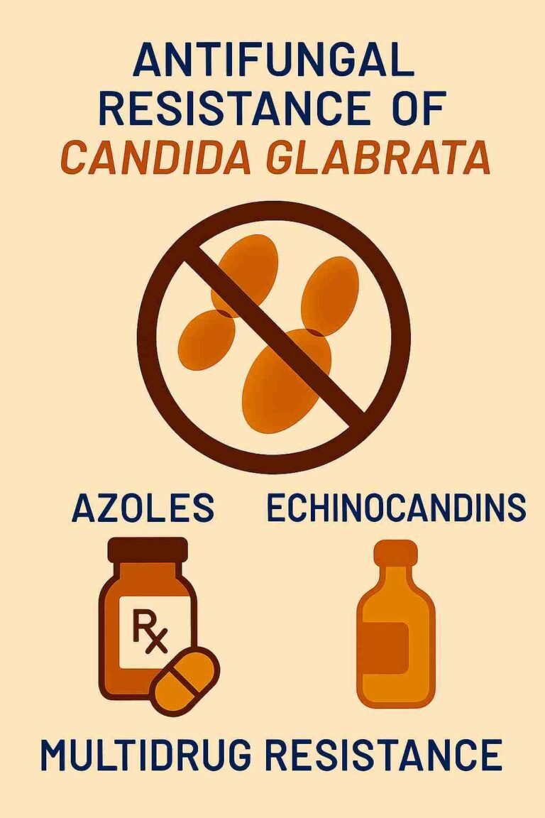 Candida glabrata- An Overview - Best Biology Notes,...