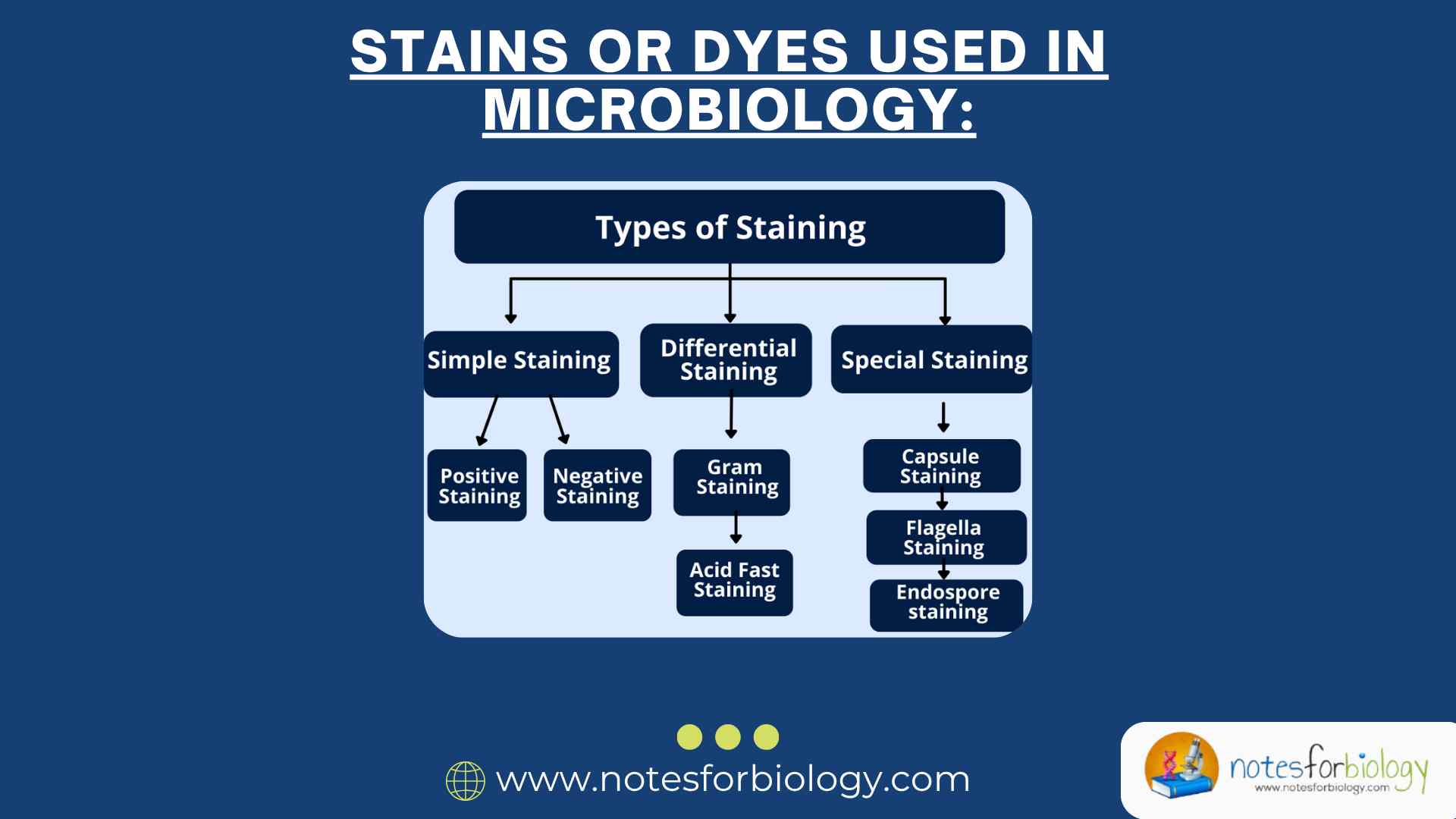 Stains or dyes used in microbiology: composition, types...