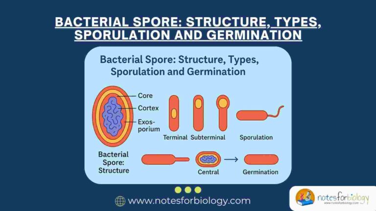 Bacterial Spore: Structure, Types, Sporulation ,Germination