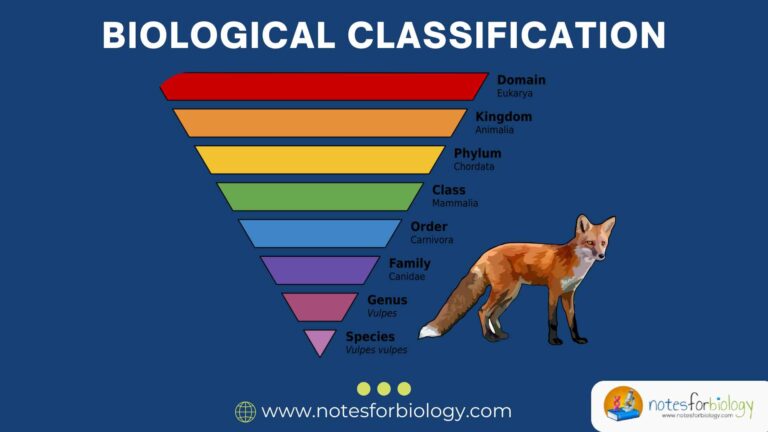 Biological Classification: Three Domains of Life - Best Bio