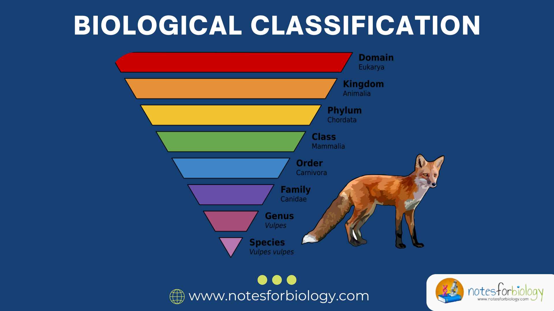 Biological Classification: Three Domains of Life - Best Bio