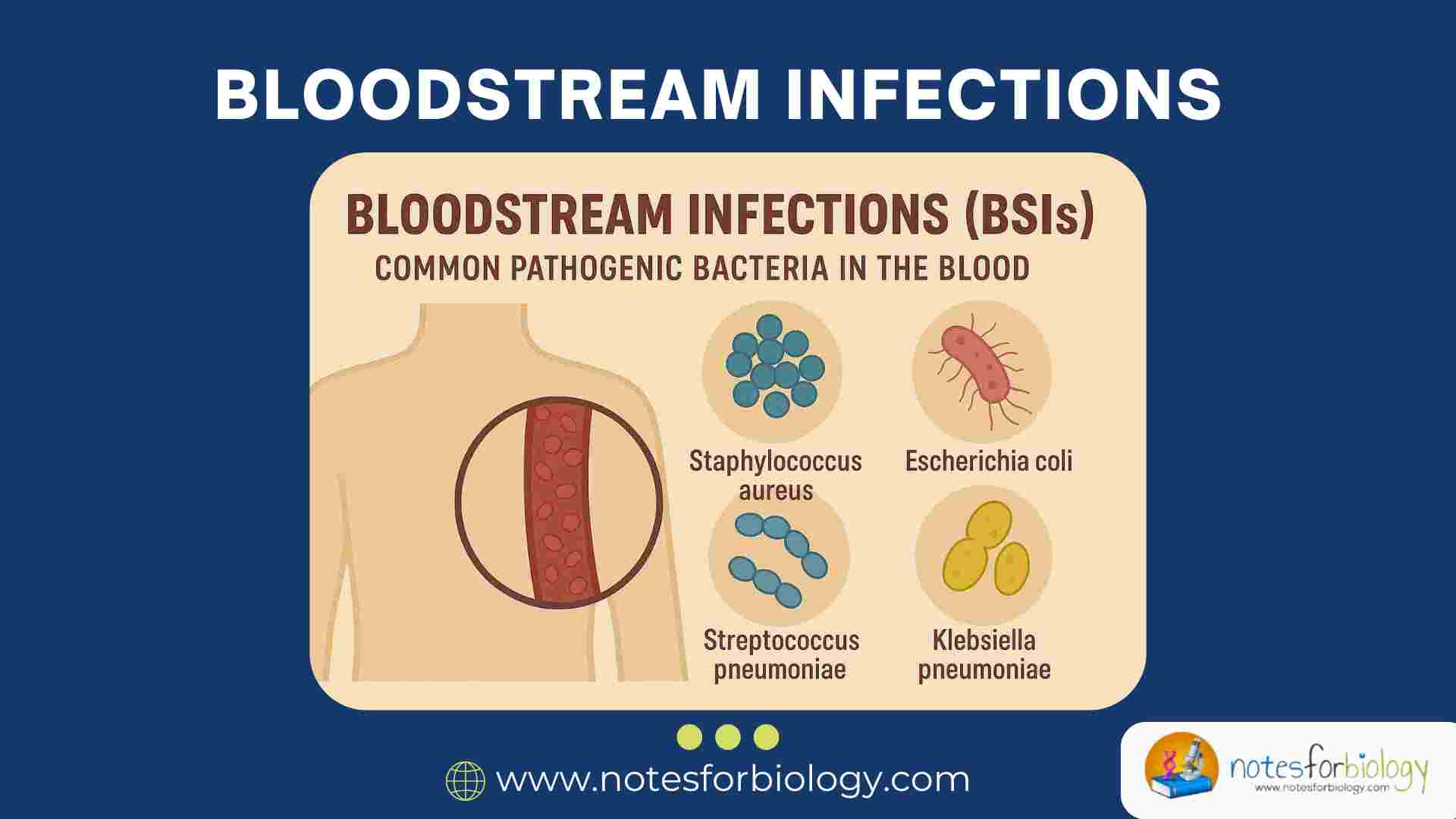 Bloodstream Infections (BSIs) and Common Pathogenic Bacteria