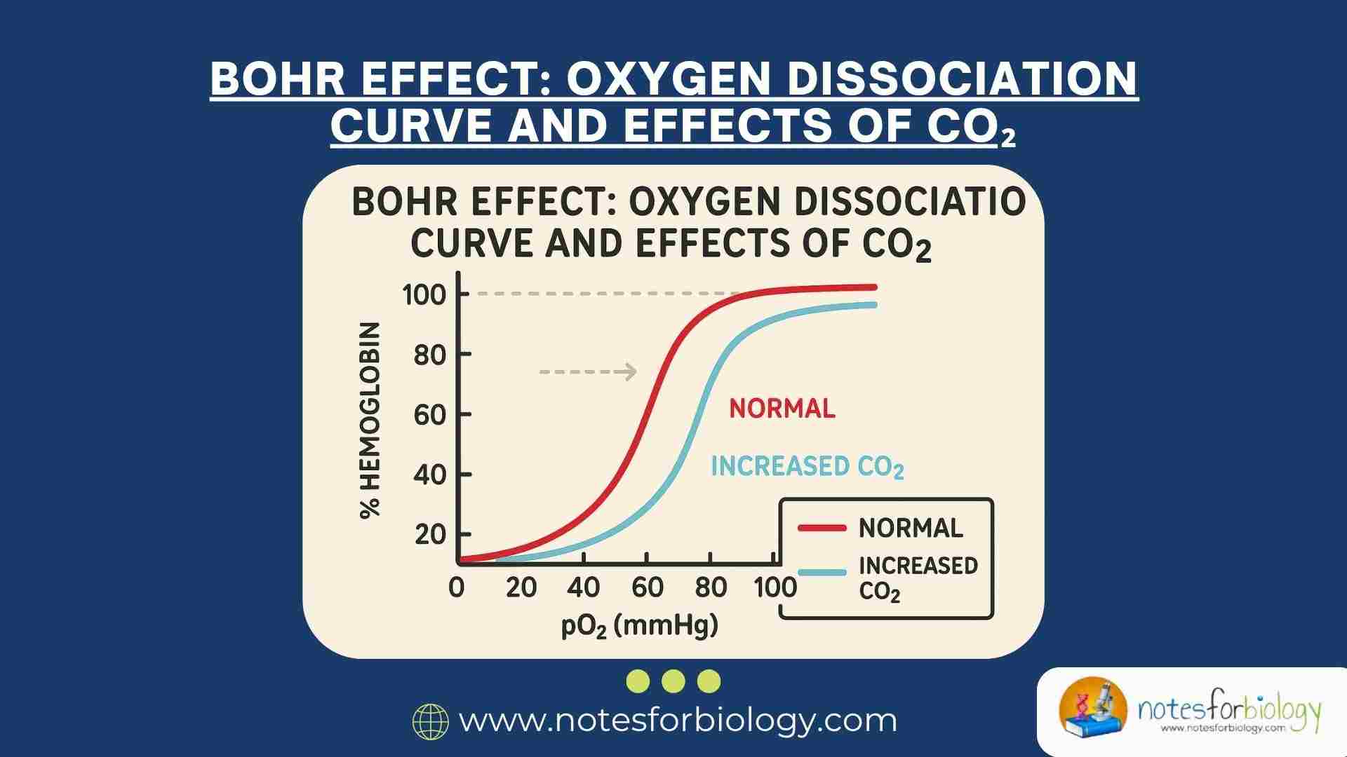 Bohr Effect Oxygen Dissociation Curve And Effects Of Co₂