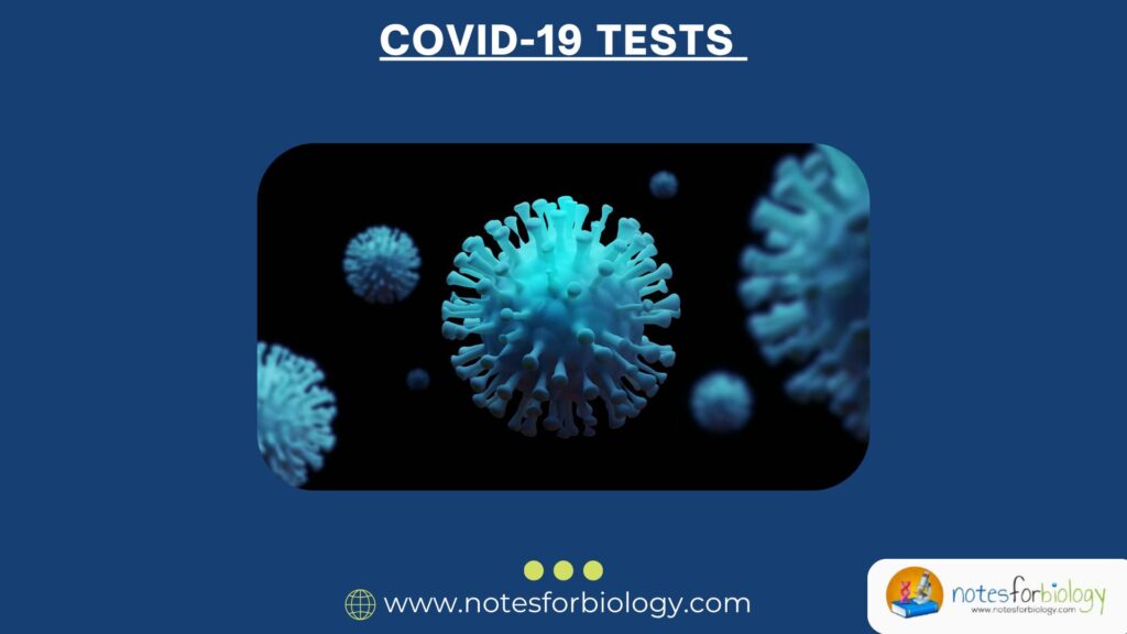 Bohr Effect Oxygen Dissociation Curve And Effects Of Co₂
