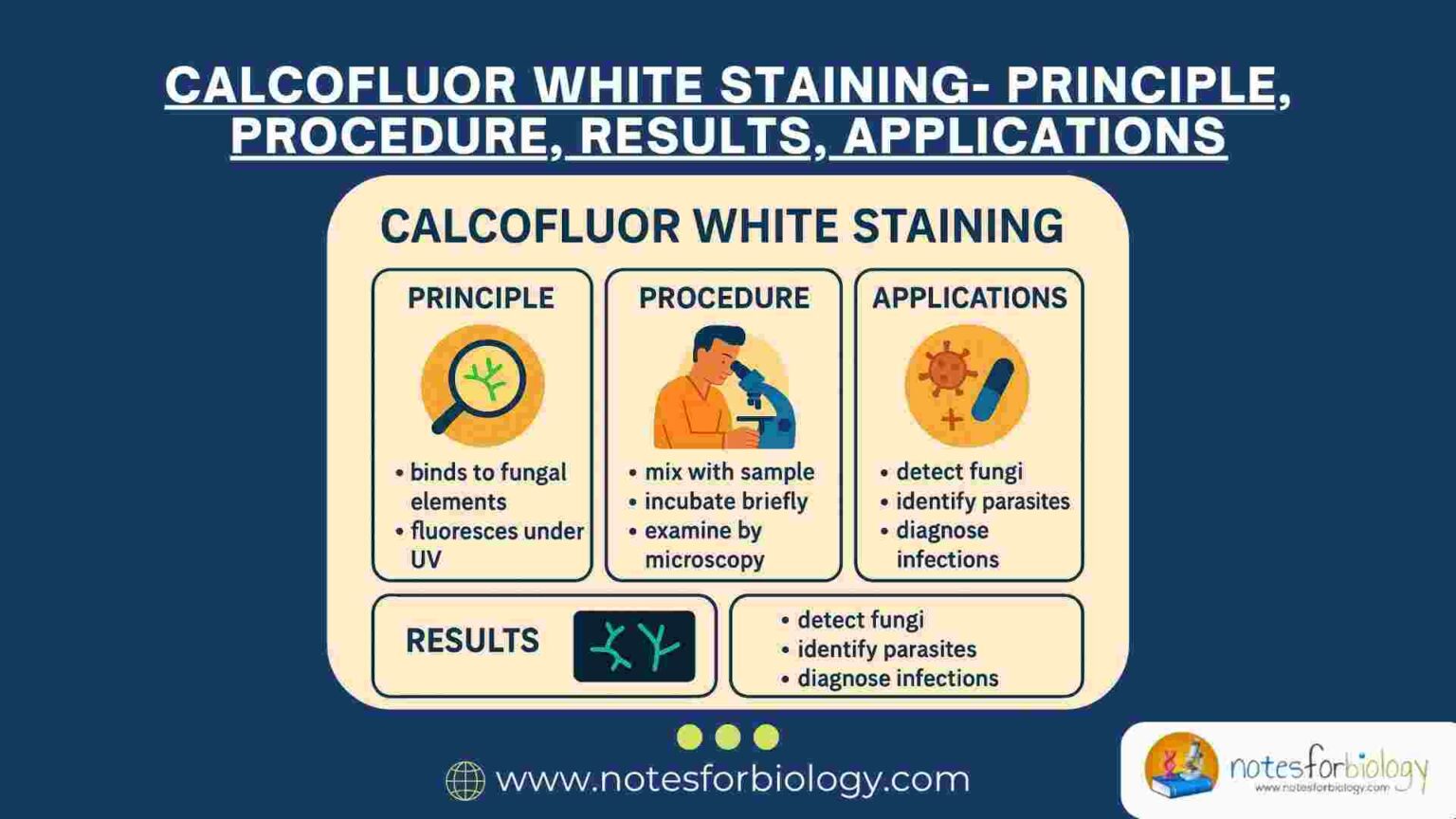 Calcofluor White Staining- Principle, Procedure, Result
