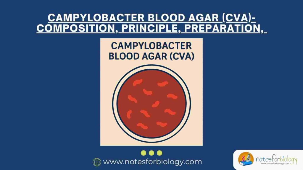 Chemical Digestion of Carbohydrate, Protein, Lipid, Nucleic Acid