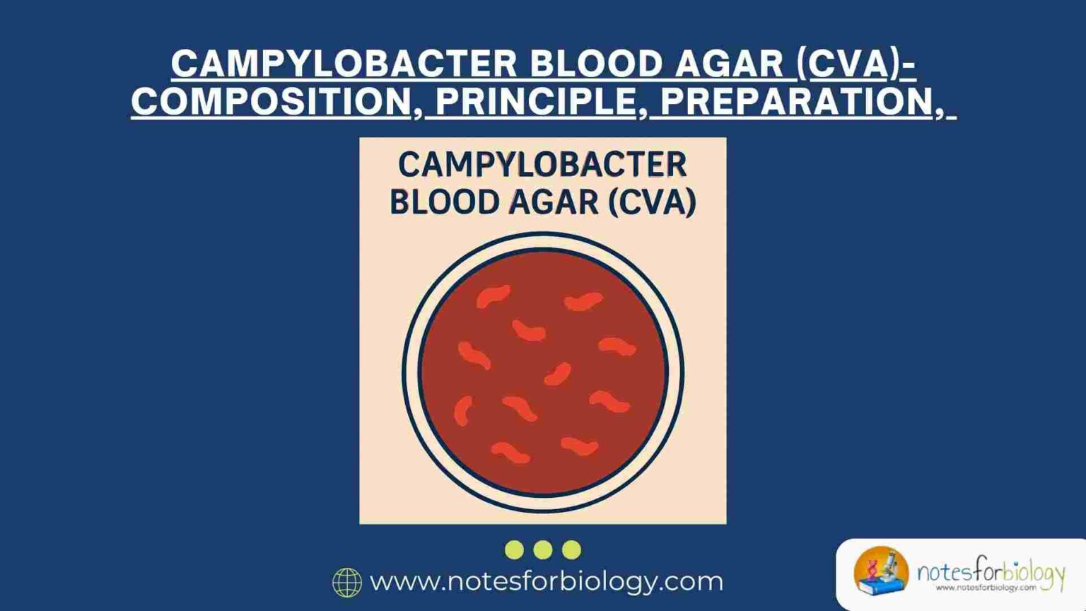 Campylobacter Blood Agar (CVA)- Composition, Principle