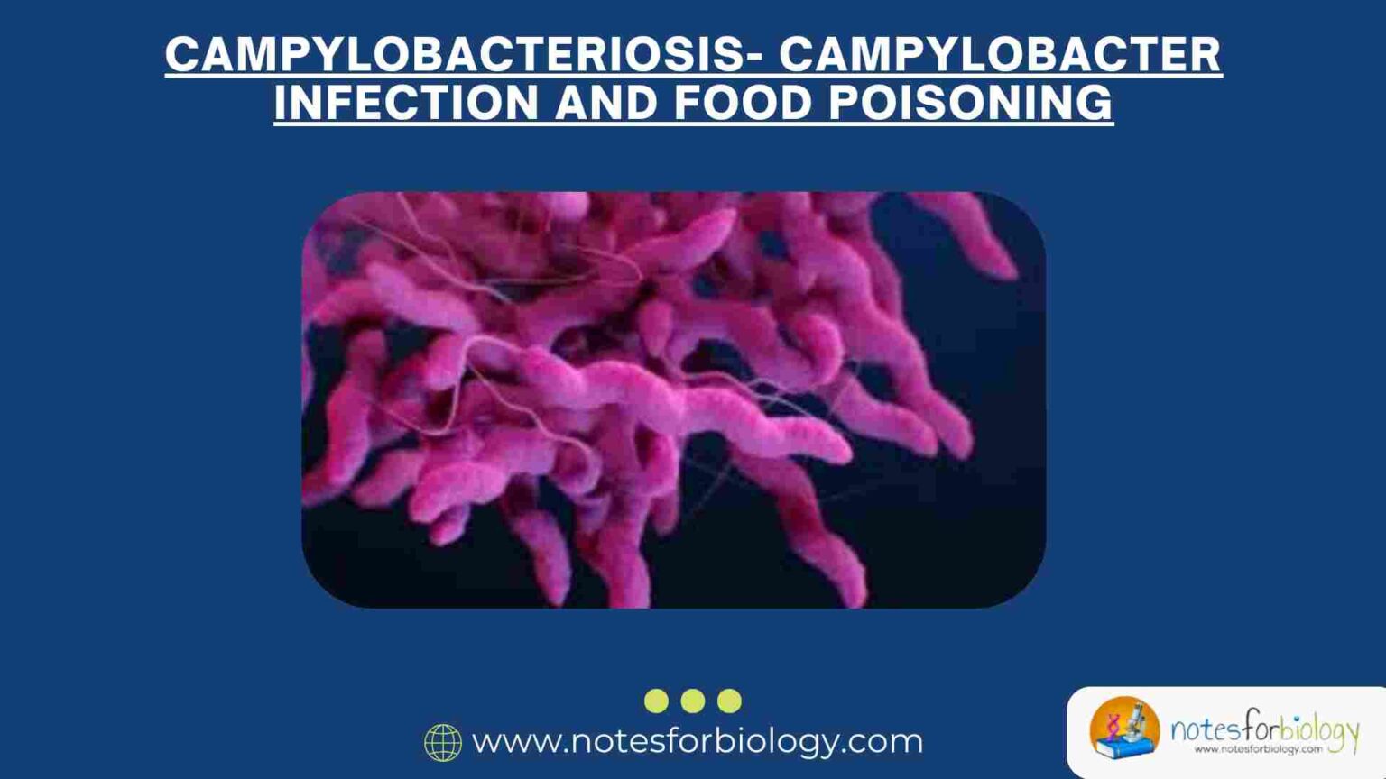 Campylobacteriosis- Campylobacter Infection and Food...