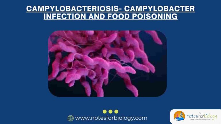 Campylobacteriosis- Campylobacter Infection and Food...