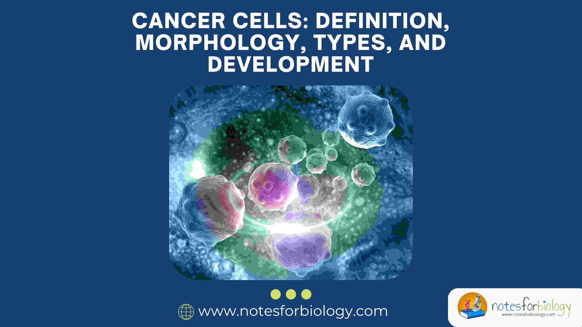 Cancer Cells: Definition, Morphology, Types, and... Best
