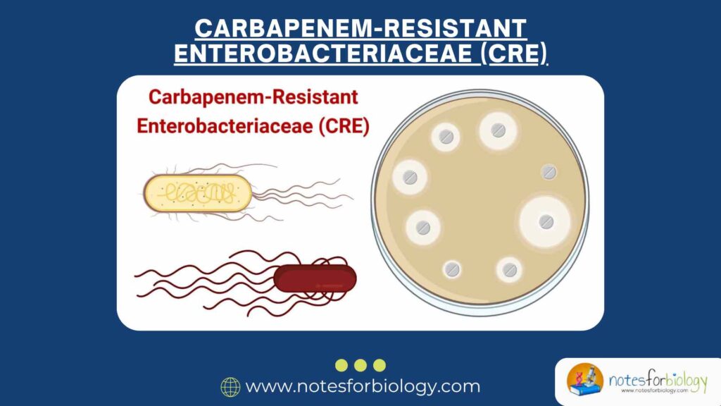 Carbapenem-Resistant Enterobacteriaceae (CRE) - Best...