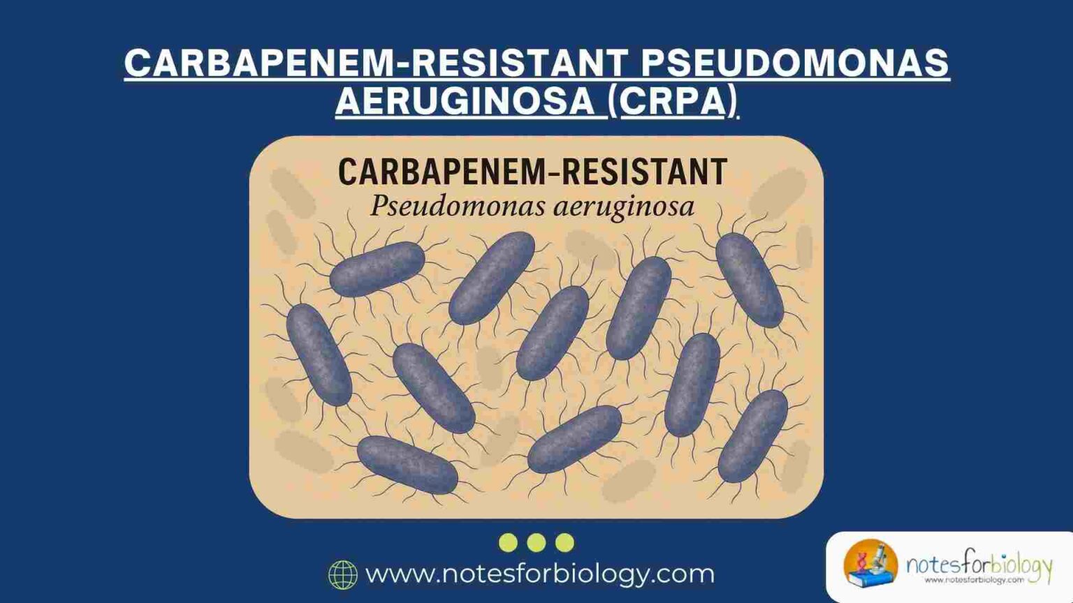 Carbapenem-Resistant Pseudomonas aeruginosa (CRP)