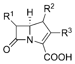 Cell Wall Synthesis Inhibitors: Examples, Mechanisms