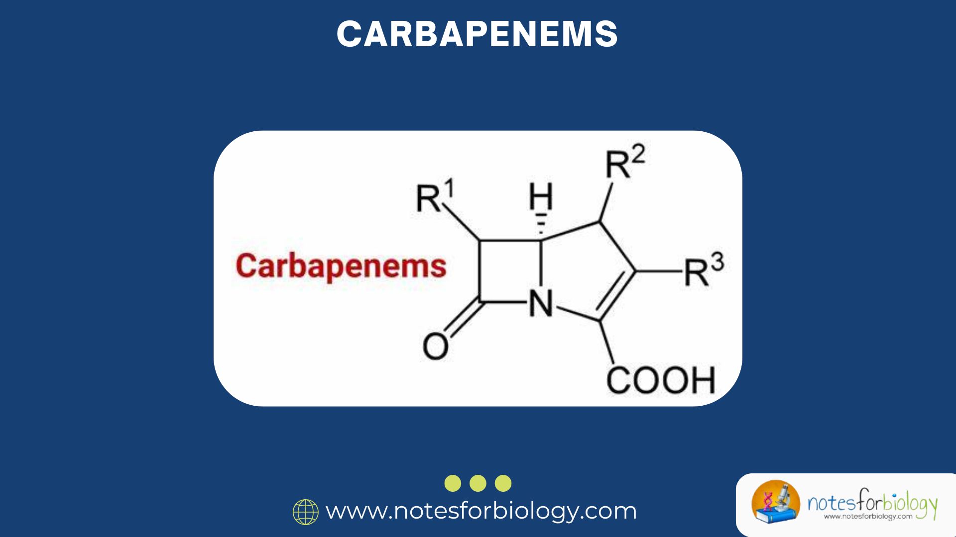 Carbapenems – Definition, Mechanism, Types, and Uses Best
