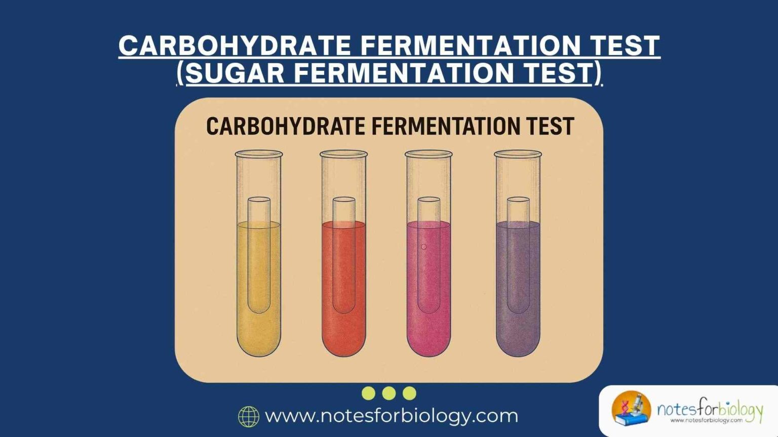 Carbohydrate Fermentation Test (Sugar Fermentation Test)