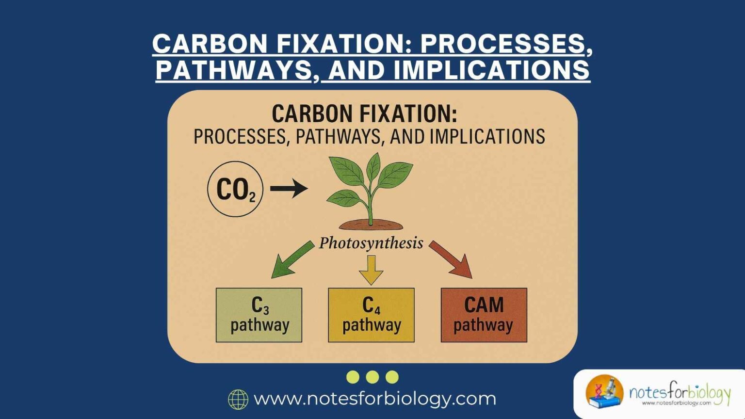 Carbon Fixation: Processes, Pathways, and Implications