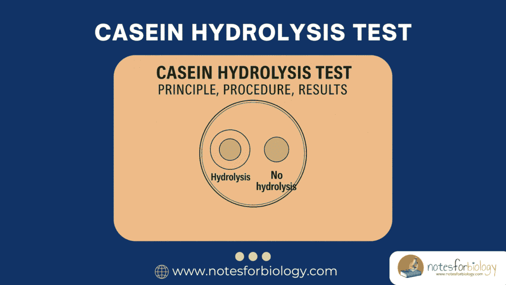 Casein Hydrolysis Test- Principle, Procedure, Results