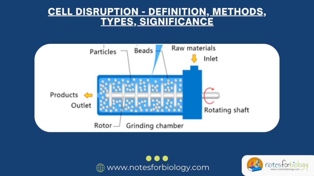 Cell Disruption - Definition, Methods, Types, Significance Cell Disruption - Definition, Methods, Types, Significance