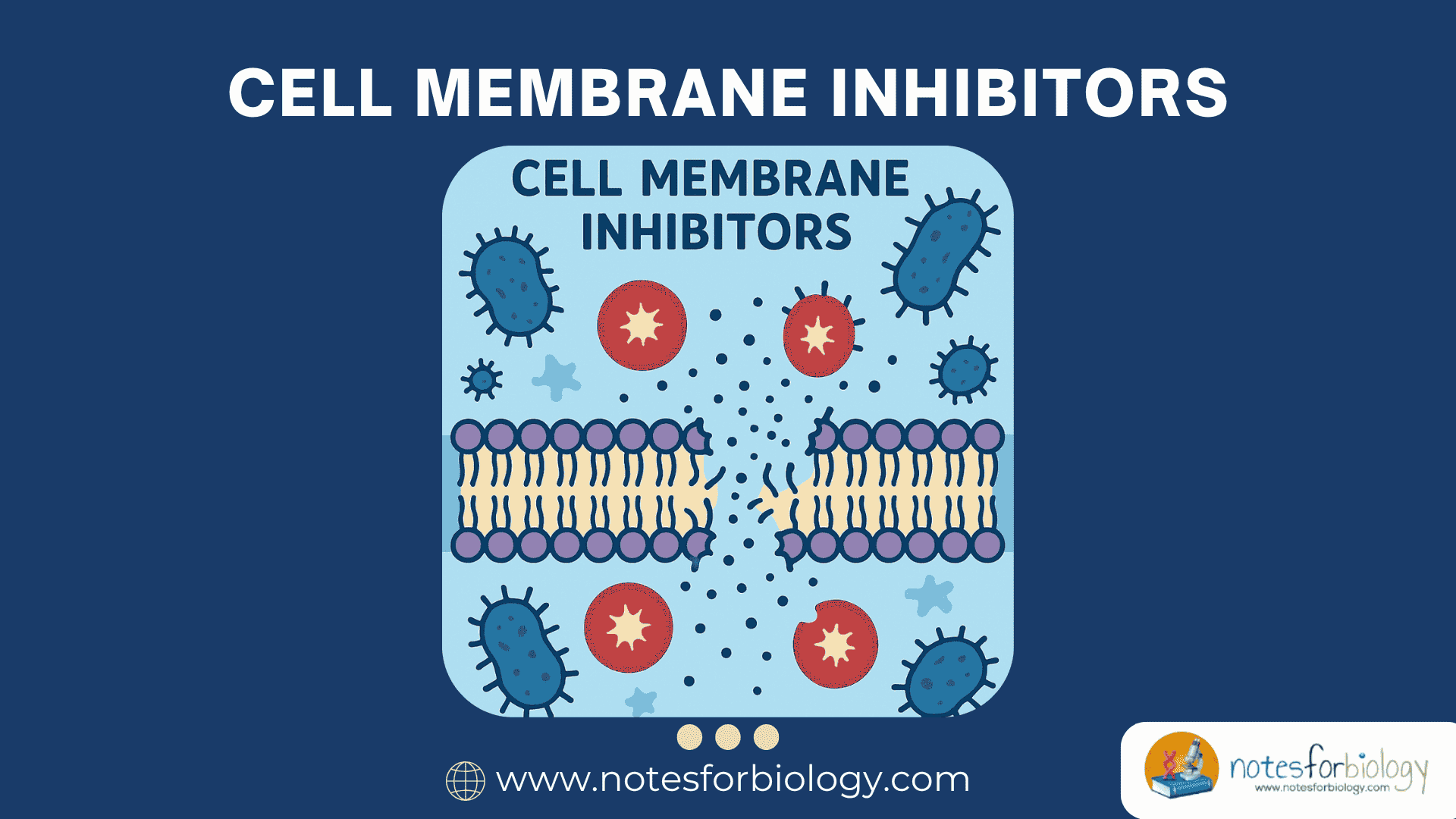 Cell Membrane Inhibitors: Examples, Inhibition , Resistance