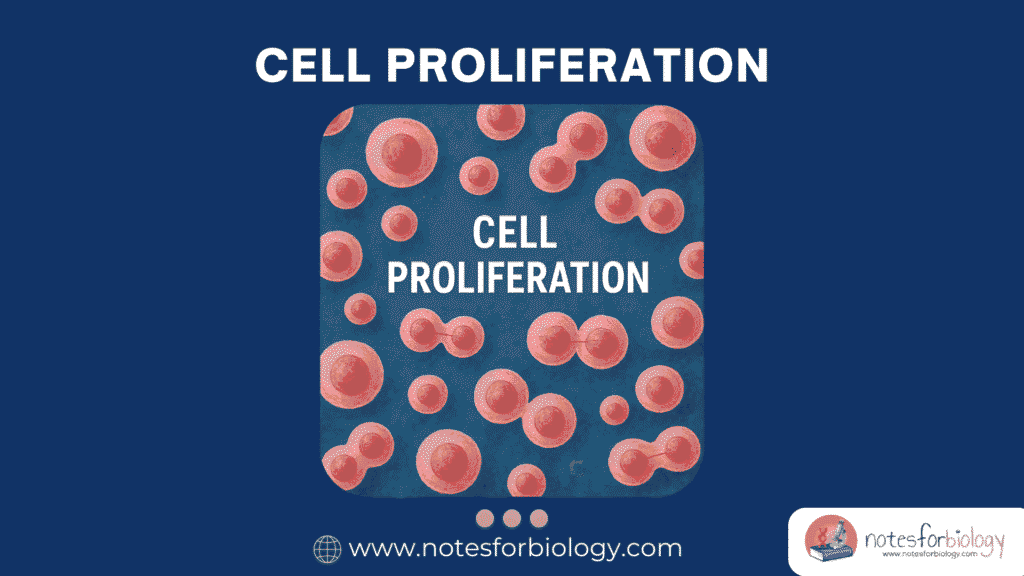 Cell Proliferation - Definition, Assay, Differentiation