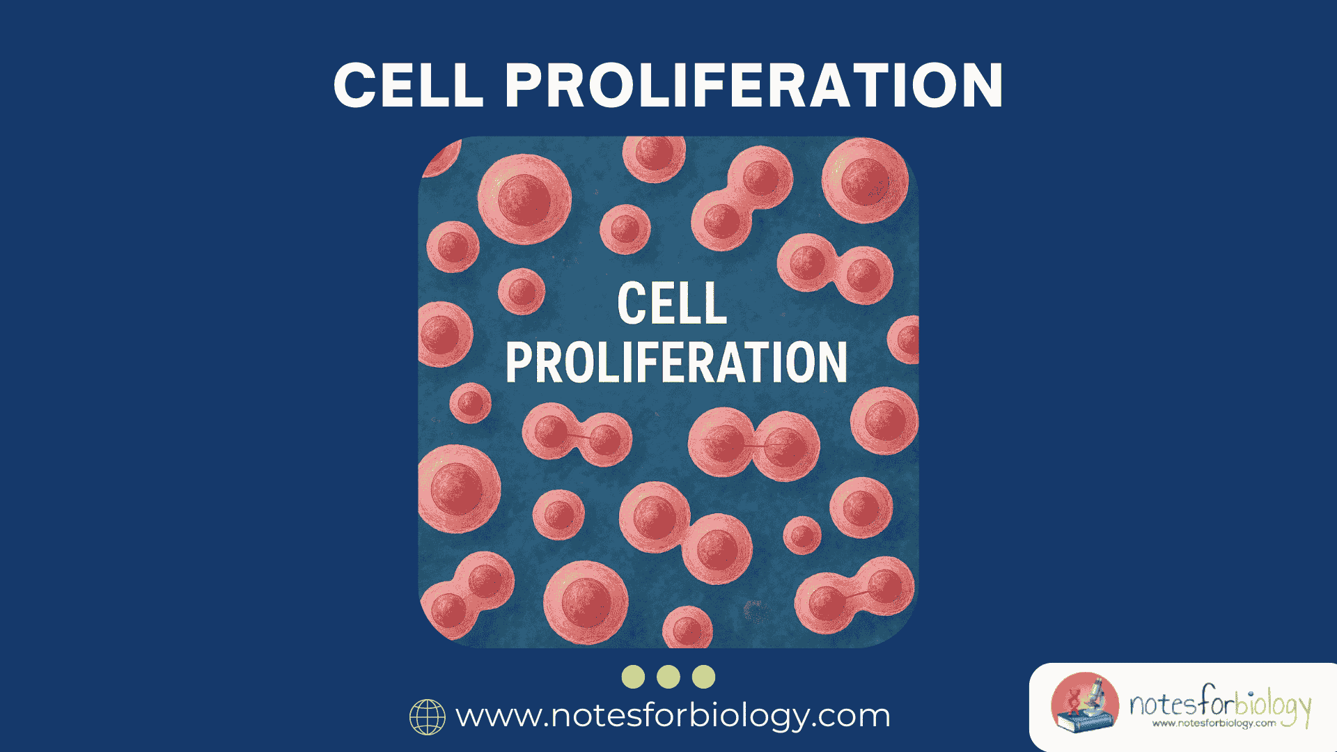 Cell Proliferation - Definition, Assay, Differentiation