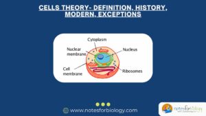 Cells Theory- Definition, History, Modern, Exceptions