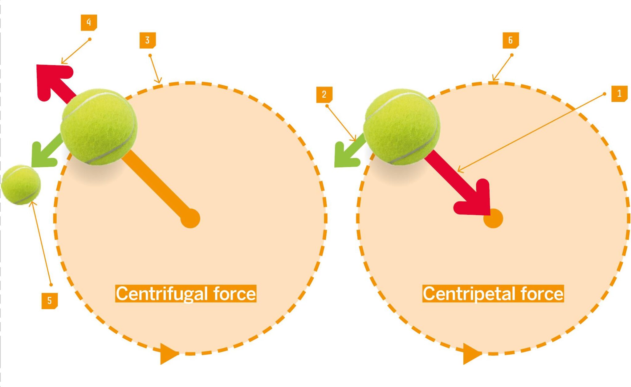 Centrifugal Force – Best Biology Notes