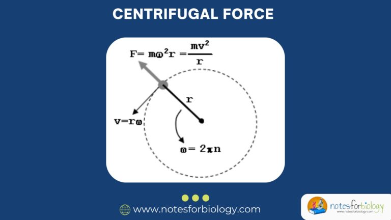 Centrifugal Force – Best Biology Notes