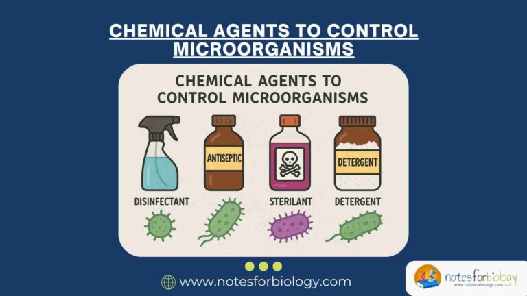 Chemical Agents to Control Microorganisms - Best Bio Notes
