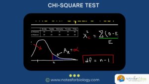 Chi-square Test - Best Biology Notes, Reference, Articles