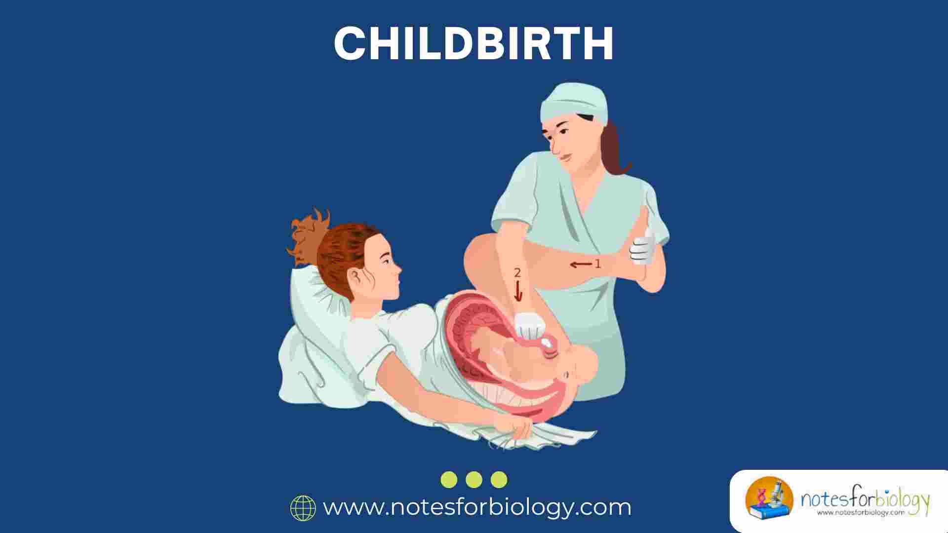 Childbirth (Labor Process)- Features, Stages, Mechanism