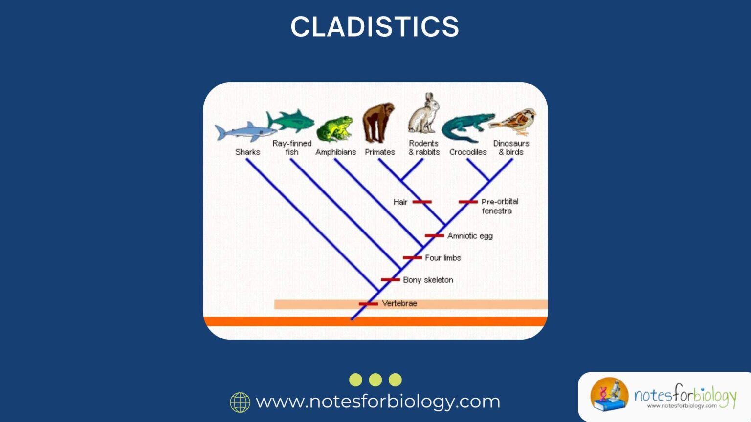 Cladistics - Best Biology Notes, Reference, Articles