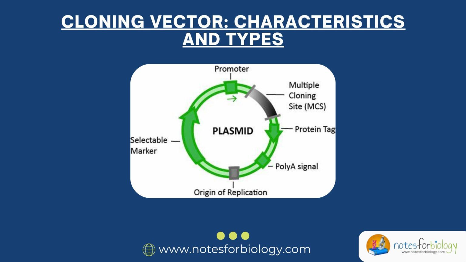 Cloning Vector: Characteristics and Types - Best Biology..