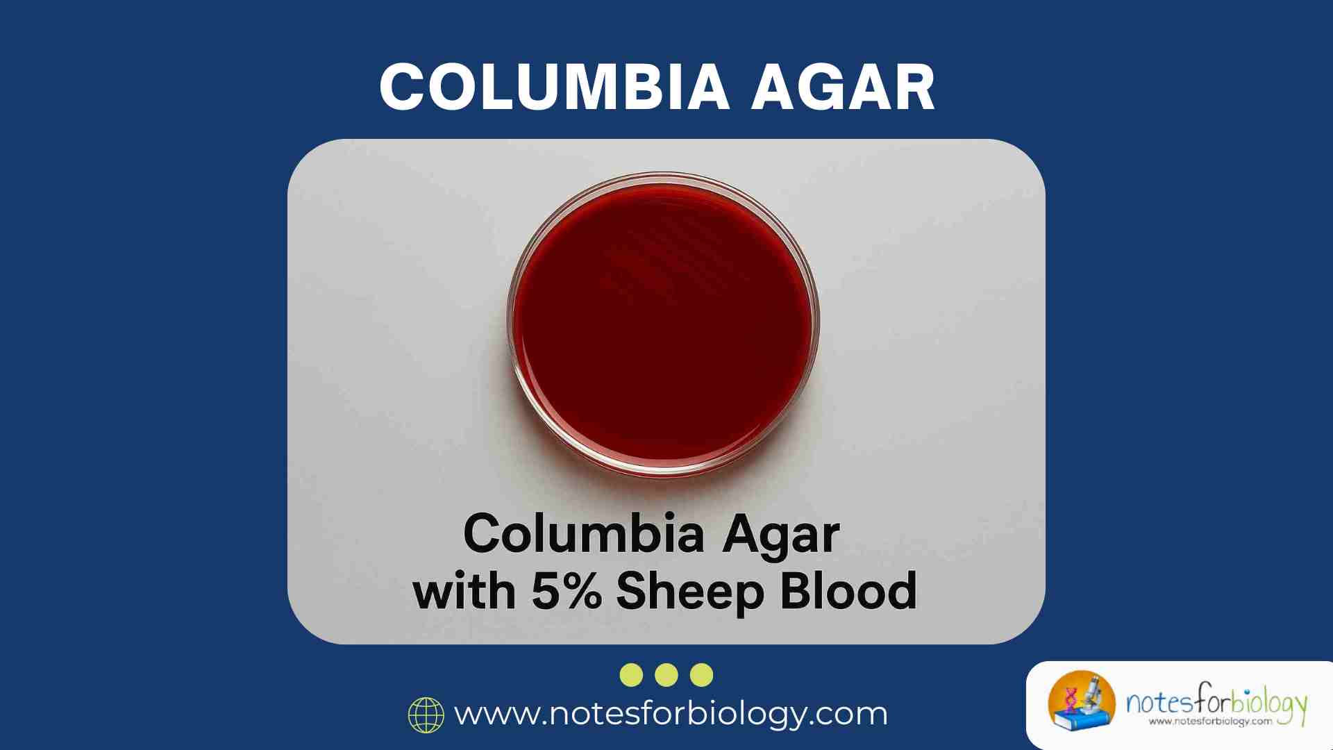 Columbia Agar with 5% Sheep Blood- Composition Best Notes