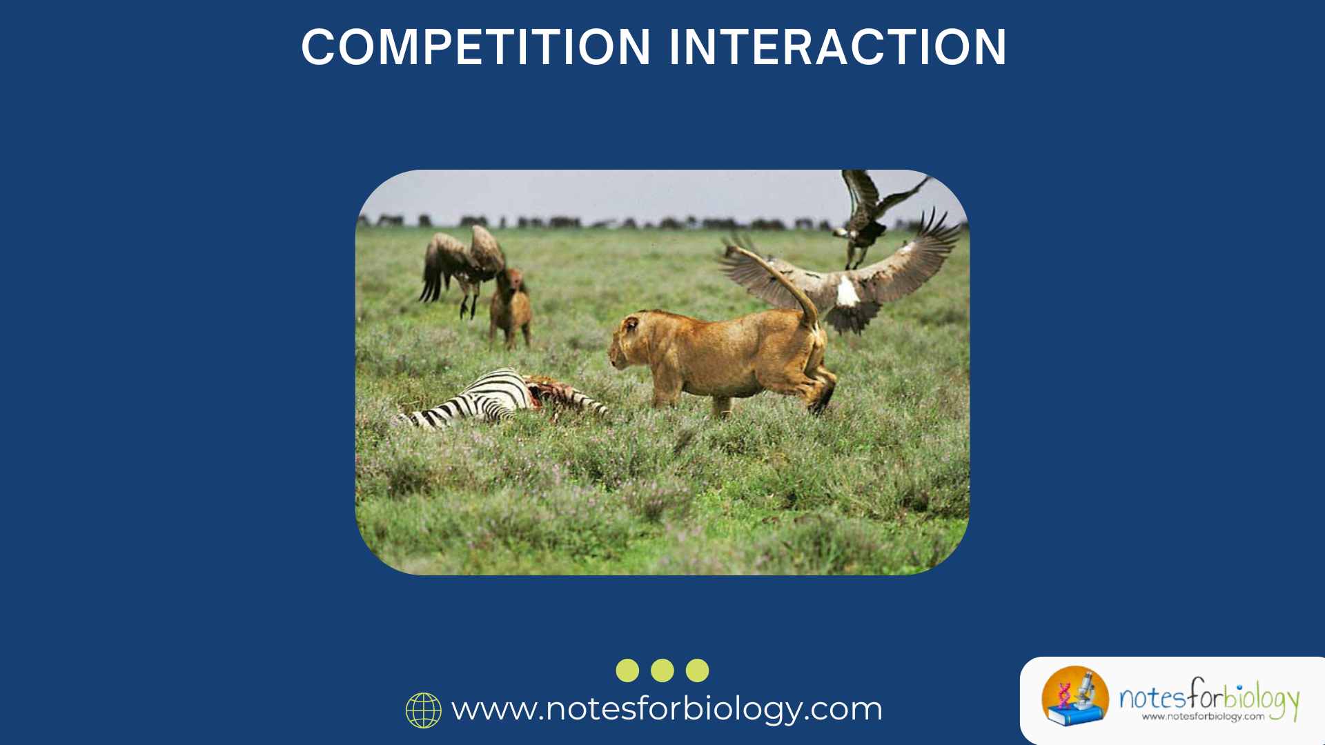 Competition Interaction - Best Biology Notes, Reference,...