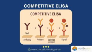 Competitive ELISA Protocol and Animation - Best Biology Note