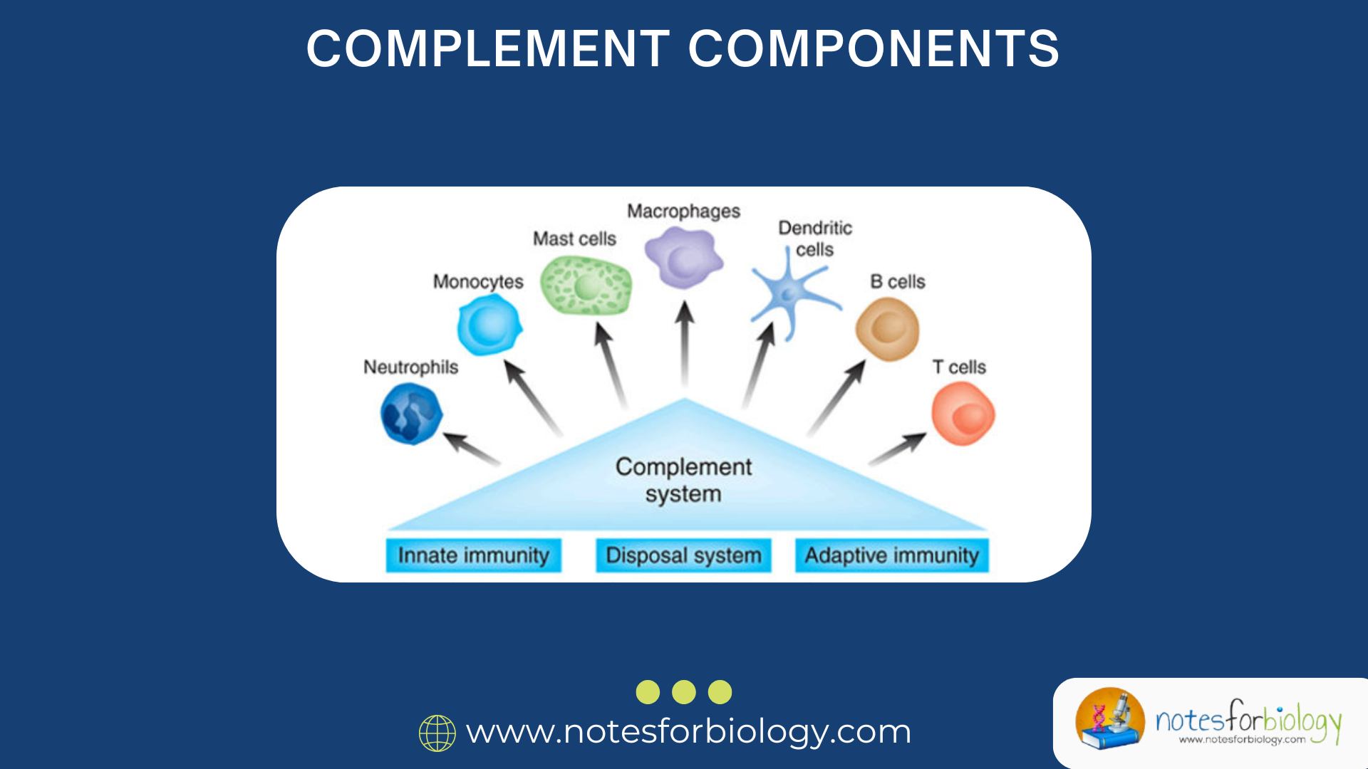 Complement Components - Best Biology Notes, Reference,...