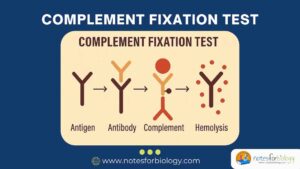 Complement Fixation Test- Principle, Procedure, Results