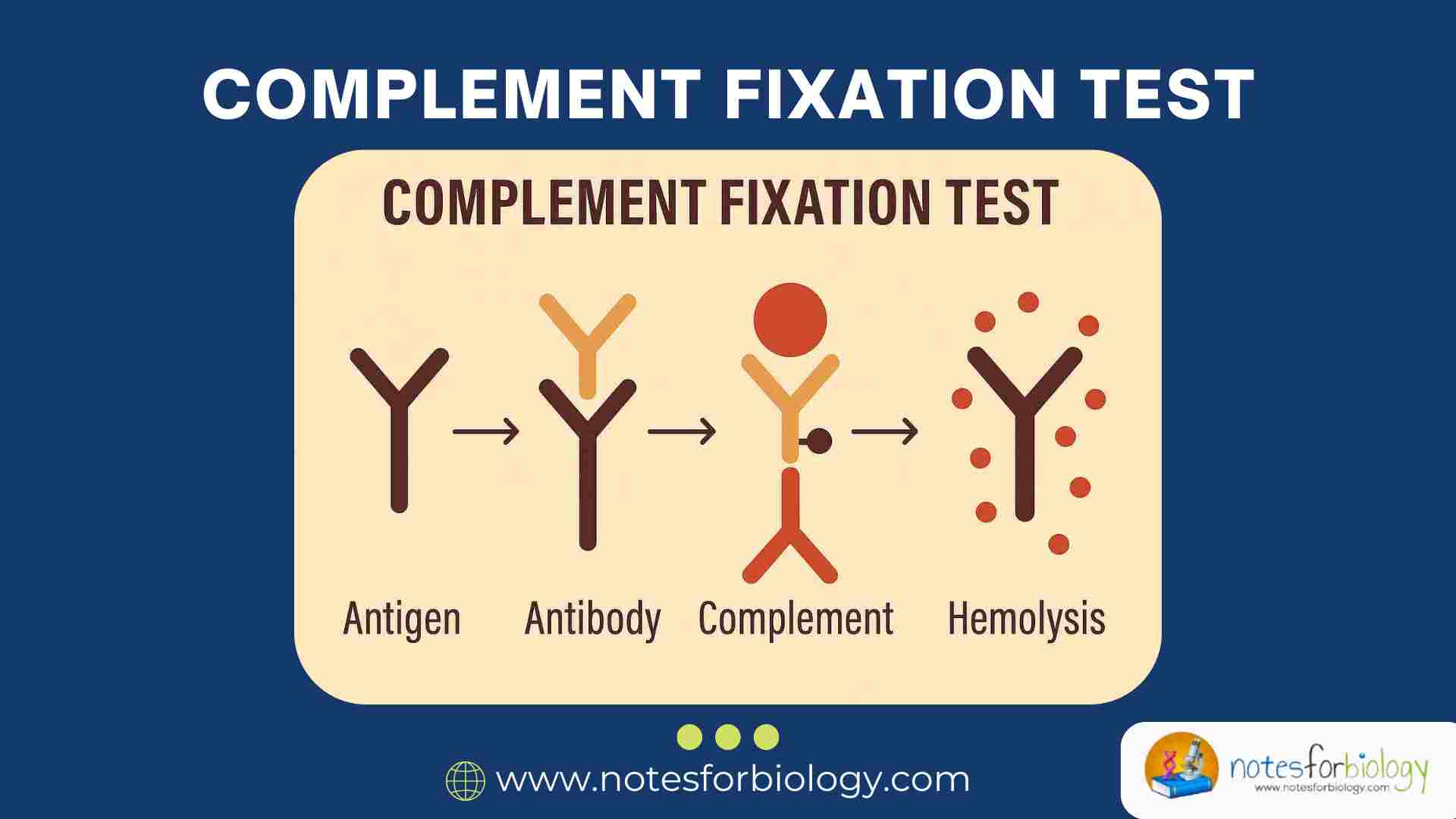 Complement Fixation Test- Principle, Procedure, Results
