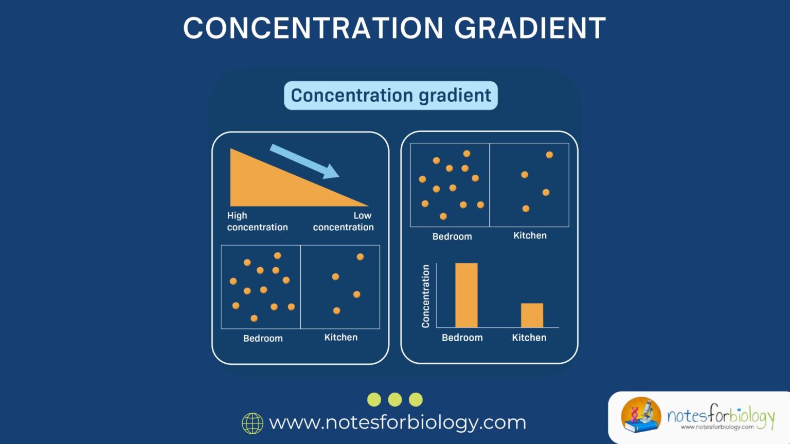 Concentration Gradient - Best Biology Notes, Reference,...