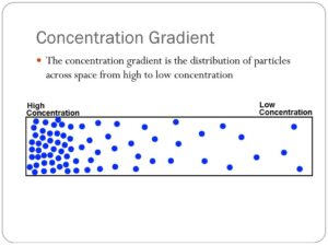 Concentration Gradient - Best Biology Notes, Reference,...
